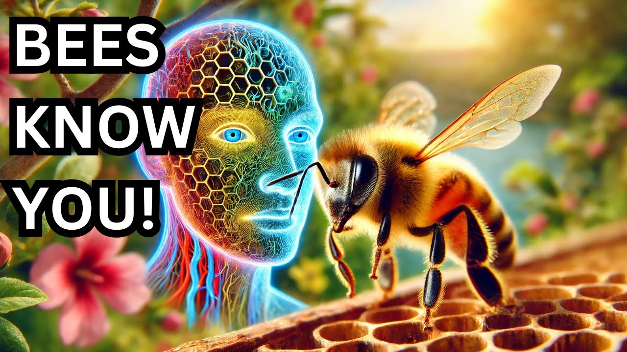 Did You Know Bees Can Recognize Human Faces? Here’s How! - YouTube