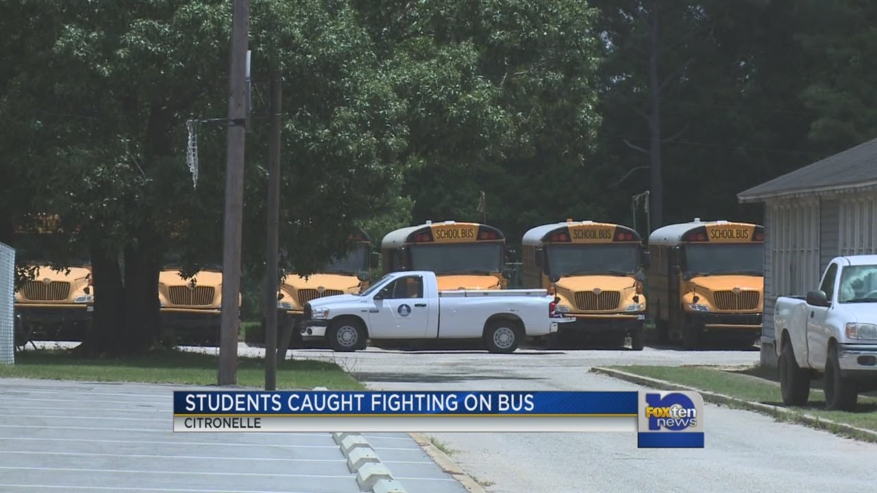 Video of a fight on a school bus raises questions - YouTube