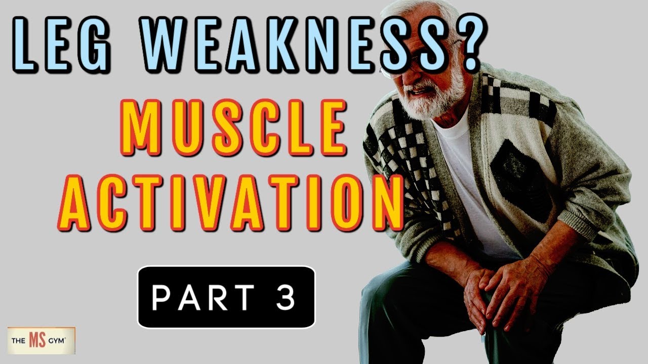 LEG WEAKNESS - PT3 INNER THIGH - Exercises for Multiple Sclerosis - YouTube