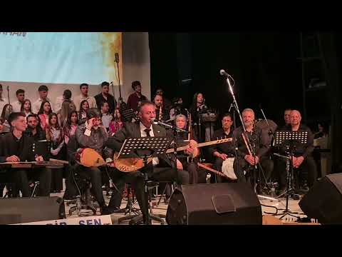 Dertli yoldaşım