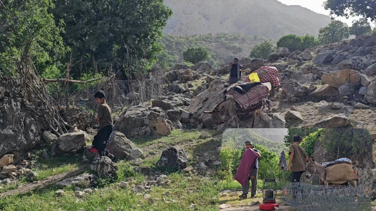 Nomadic Life | Nomadic Life Near the Village | Freedom of a Nomadic ...