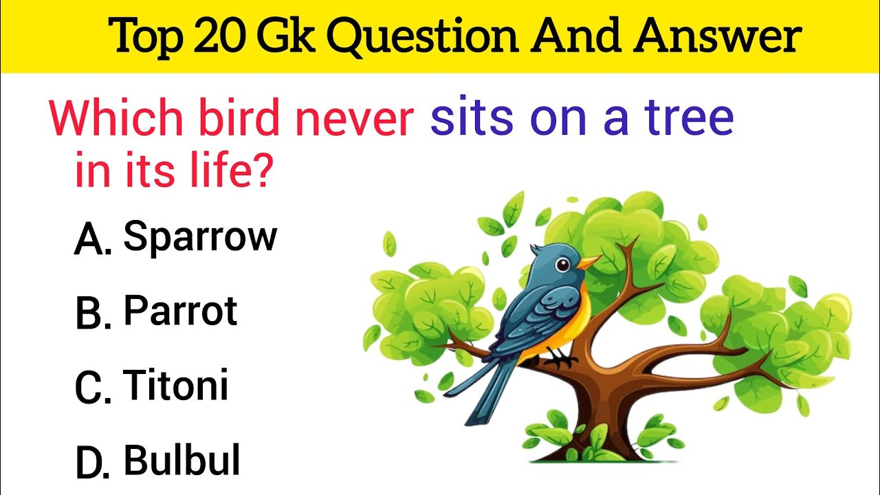 Top 20 Gk Question And Answer | General Knowledge | Best Gk Question ...