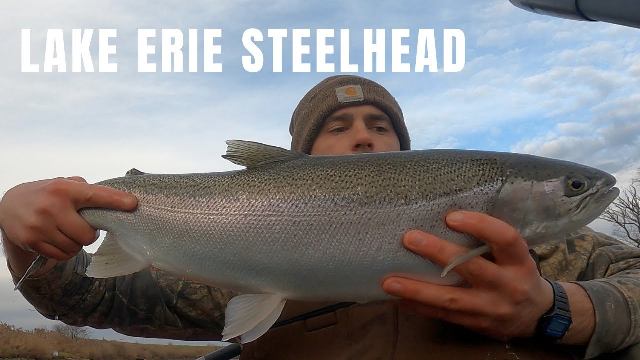 Lake Erie Steelhead fishing from a pontoon raft on the Grand River ...