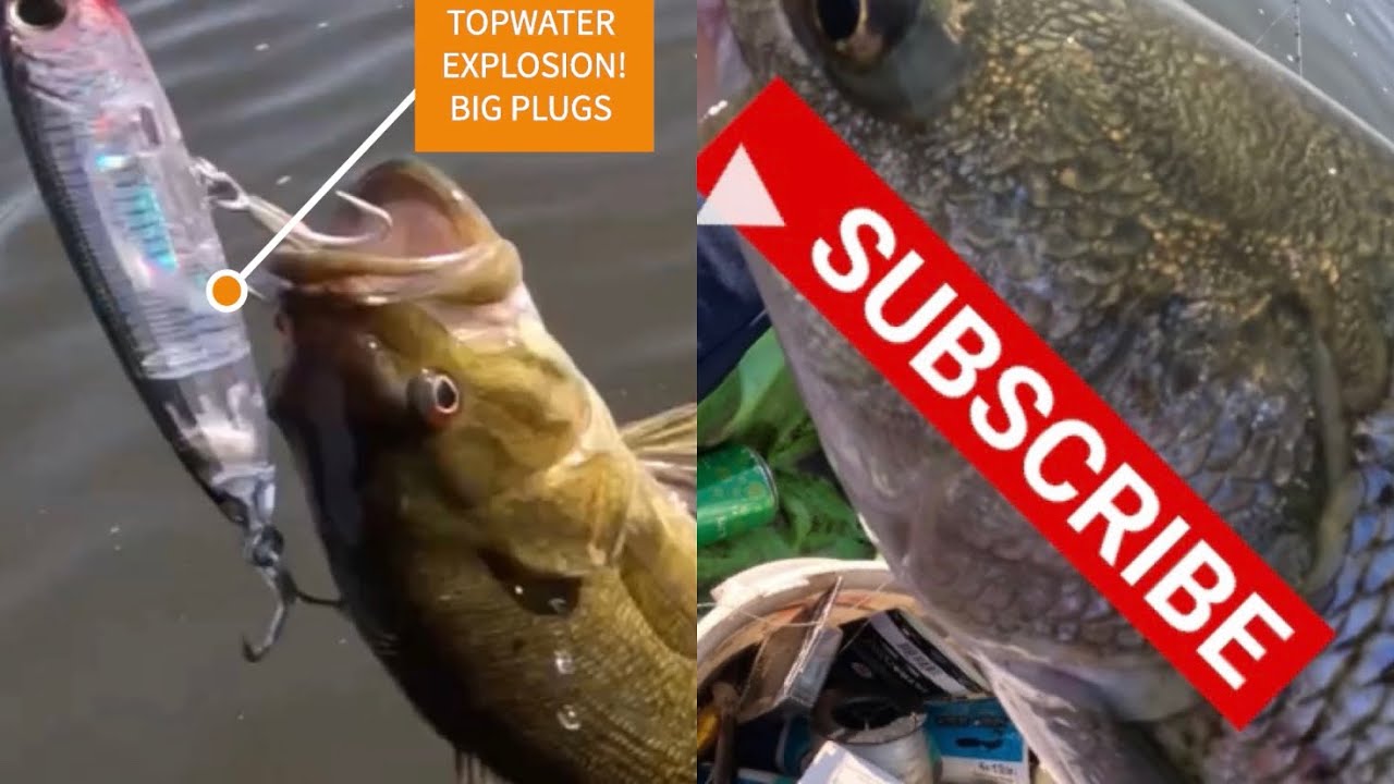 TOP WATER EXPLOSIONS! KAYAK SUSQUEHANNA FISHING ! Spookin huge striped ...