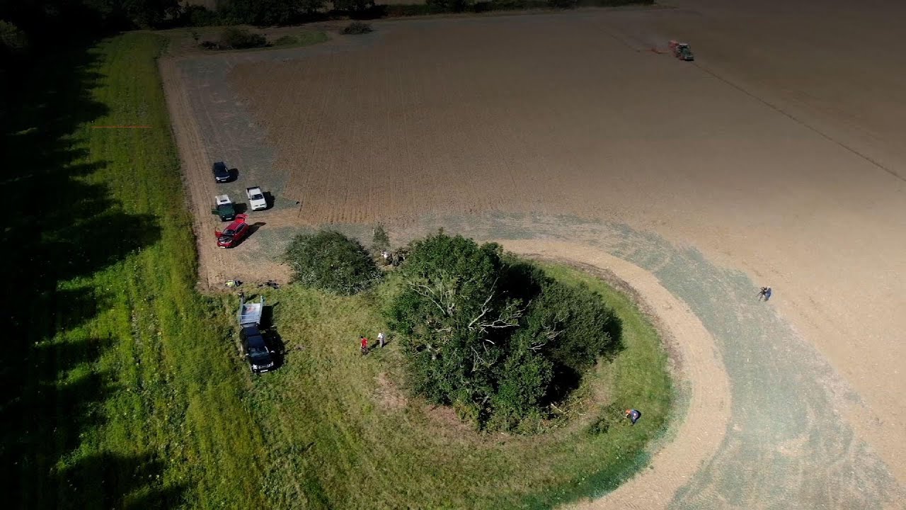 What Can Be Saved? Ghost ponds come back to life - YouTube