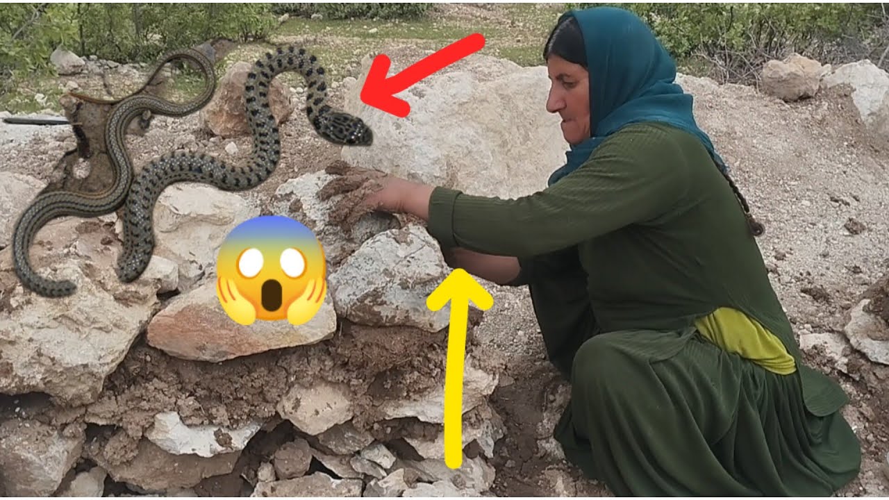 Seeing a snake near Jamila while picking the stones of her house😱 - YouTube