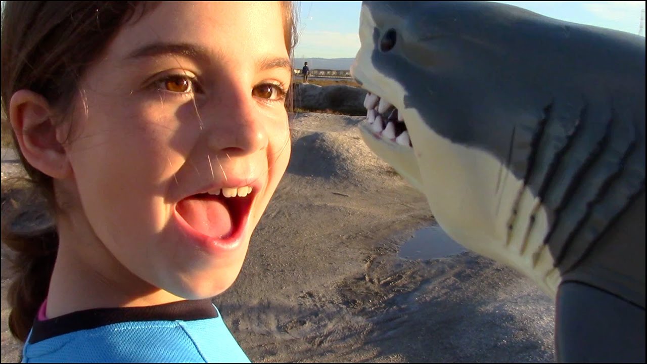 Pet Shark Chases Girl + Dog + Boy at Park - Great White Chases Kids ...