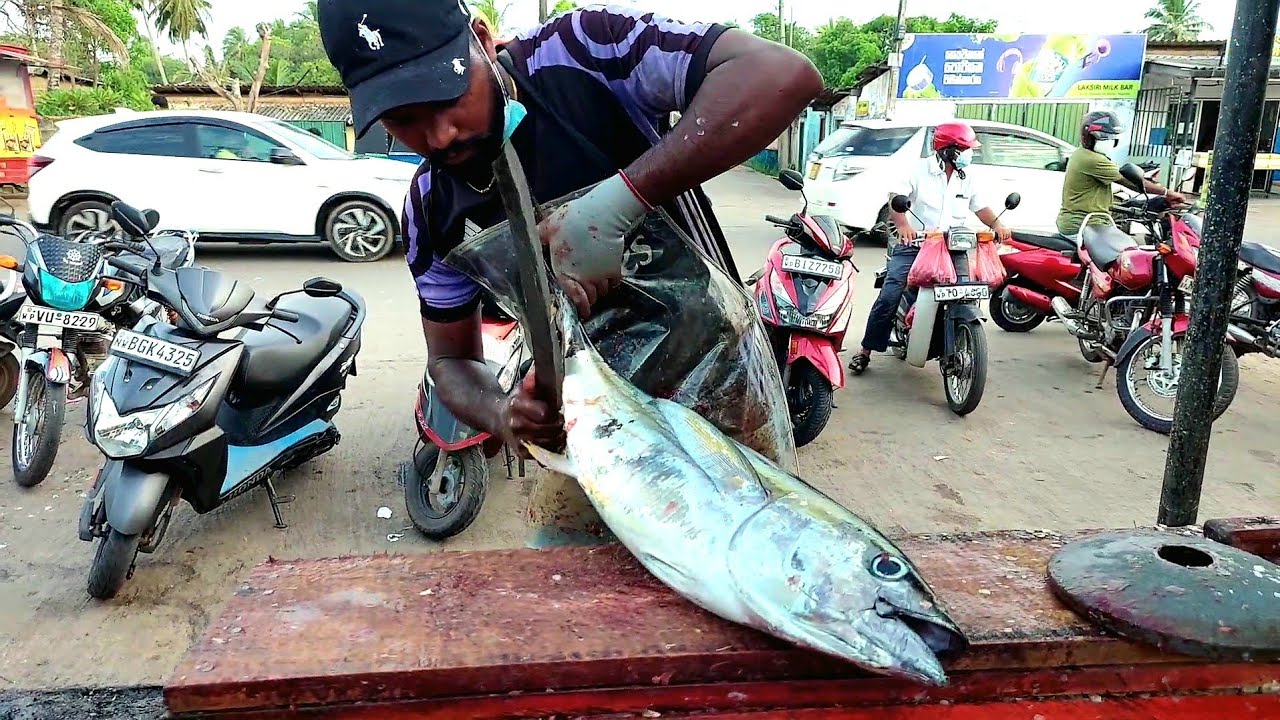 Super cut - Fresh fish | TUNA/කෙලවල්ලා - YouTube