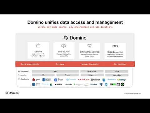 Data connections and preparation in the Domino Enterprise AI Platform ...
