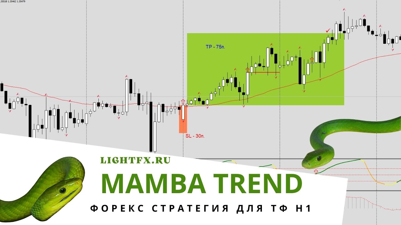 Трендовая Форекс стратегия Mamba Trend. - YouTube