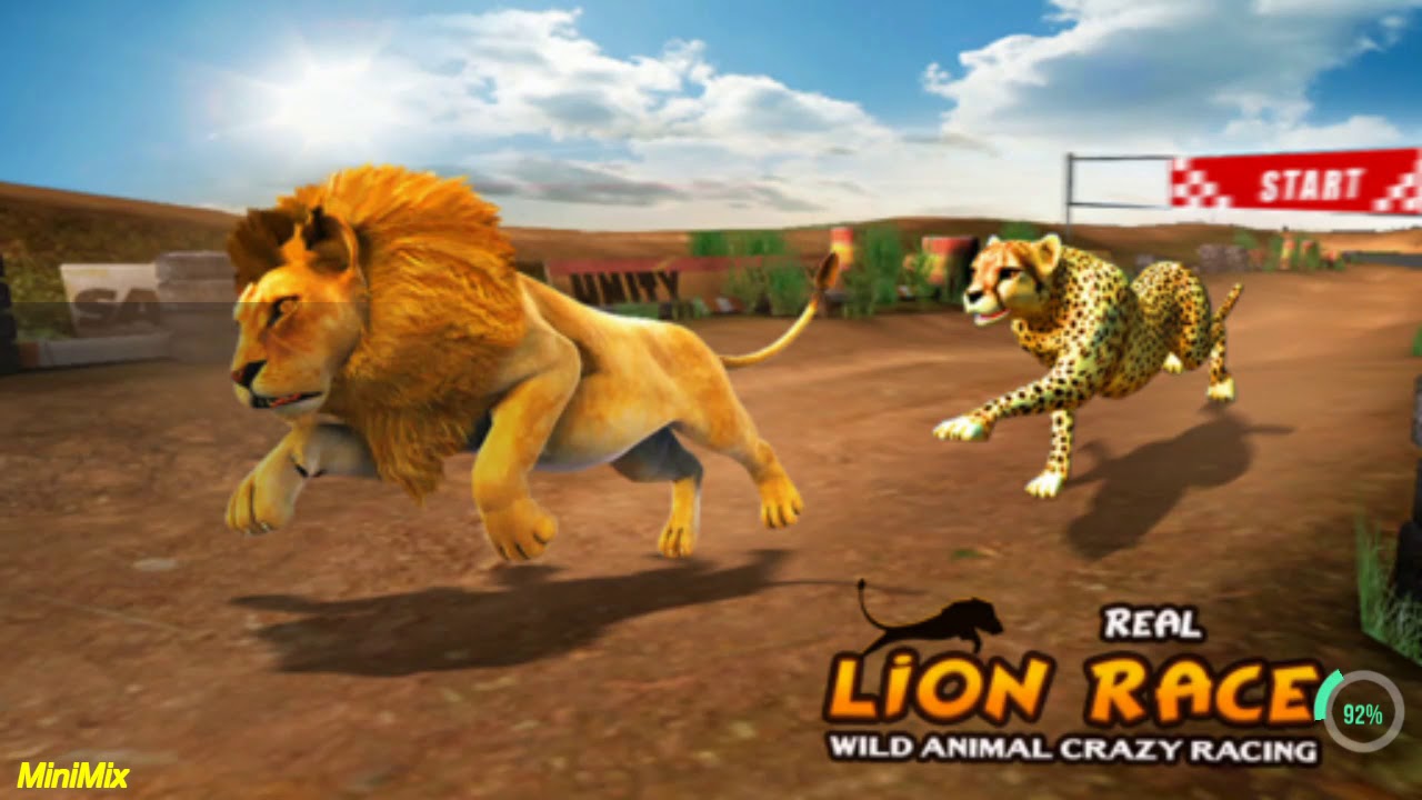 Real Lion race #1 - Vahşi hayvanlar yarışıyor - hayvan oyunları - YouTube