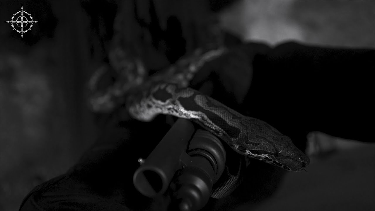 TWENTYTHREE - WRAITH (OFFICIAL VIDEO) - YouTube Music