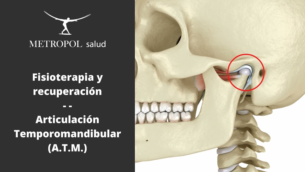 Fisioterapia y recuperación de los problemas de la Articulación ...
