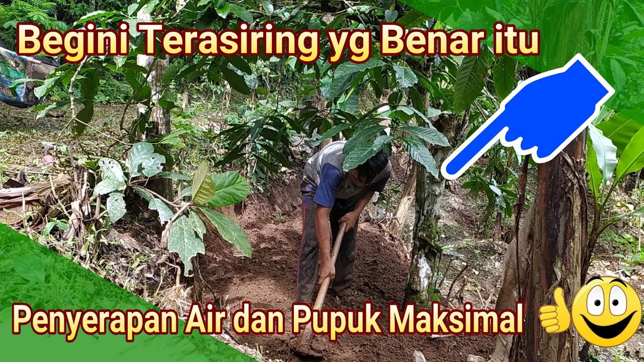 membuat terasiring di lahan miring dan manfaatnya - YouTube