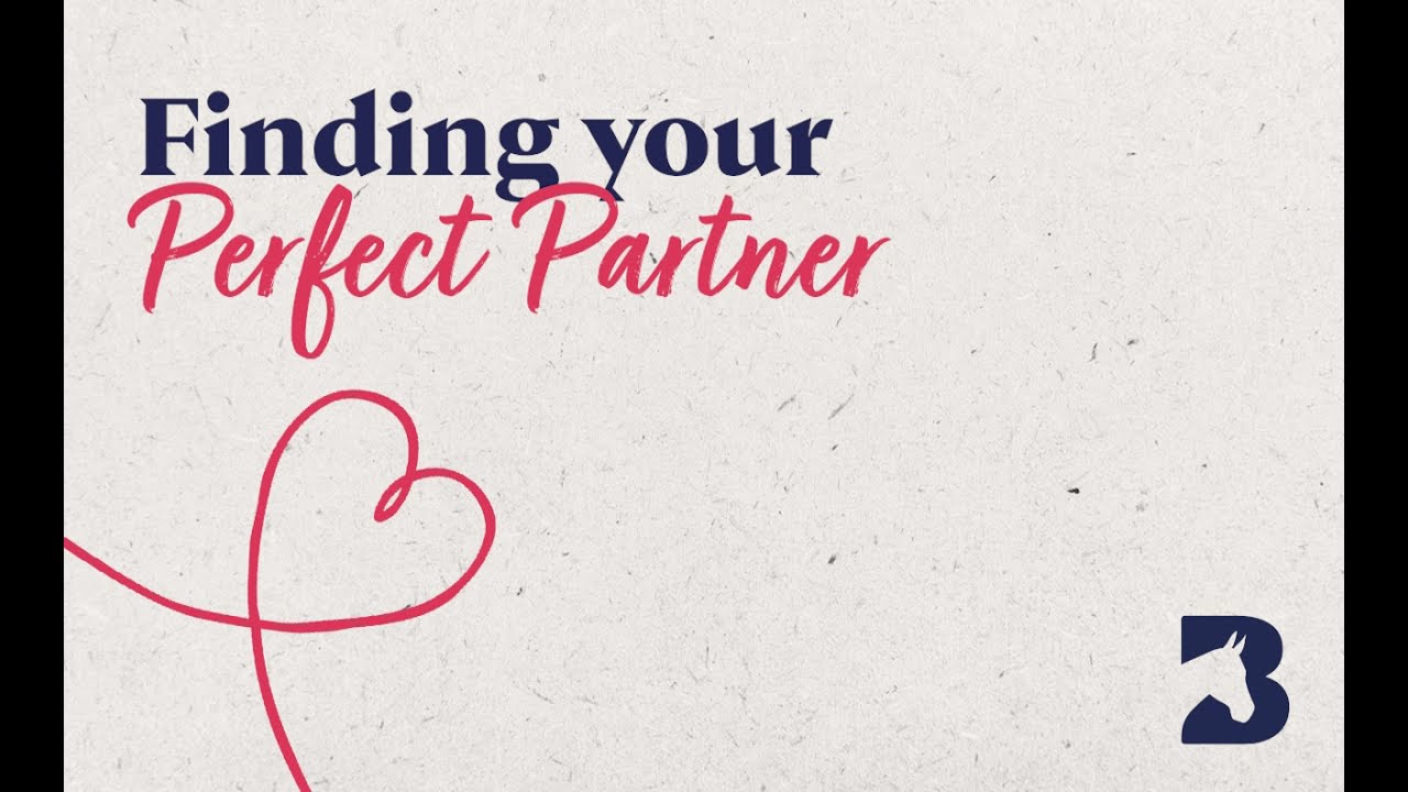 How To Apply For Your Perfect Partner - YouTube
