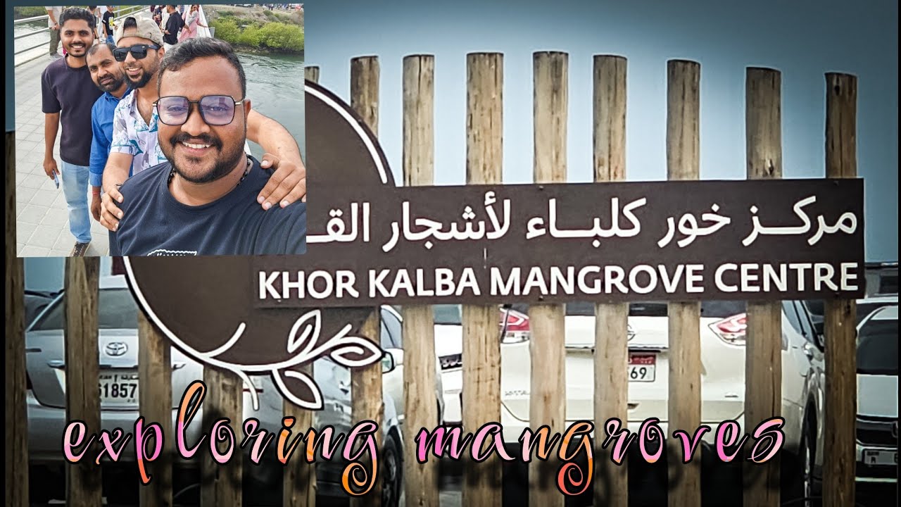 EXPLORING KHOR KALBA MANGROVES/ A DAYOUT WITH FRIENDS. - YouTube