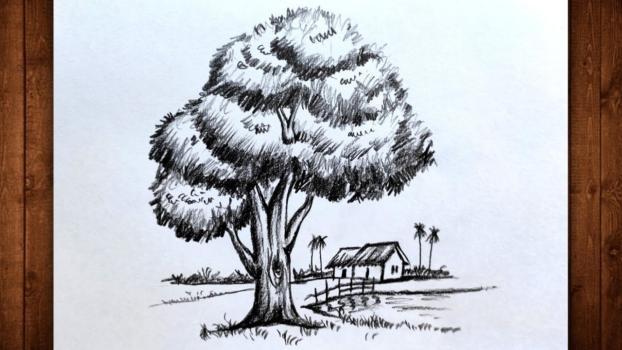 How To Draw a Tree Step by Step || Tree Drawing || Tree Drawing Easy ...