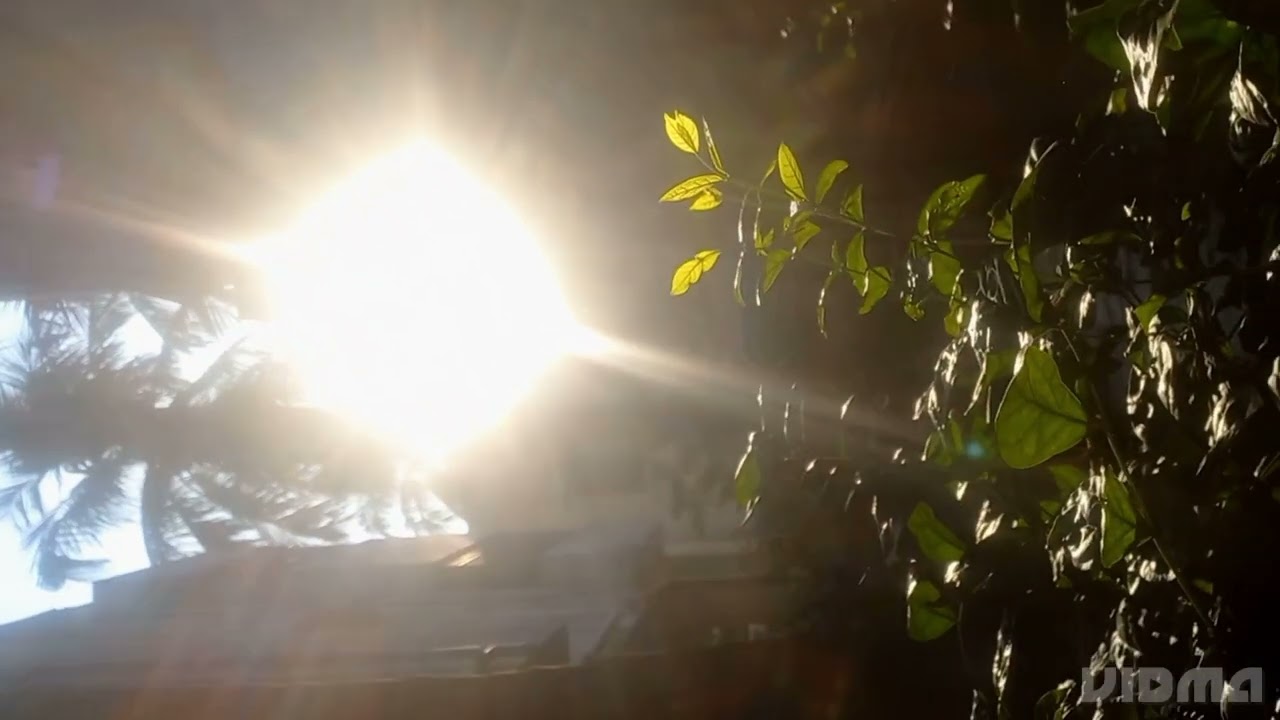 sunlight capture mobile photography #naturephotography music #arrahman ...