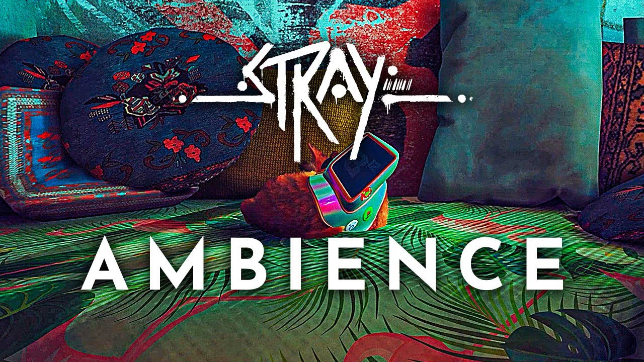 Stray Ambience | Midtown Back Alley Sleep Spot - YouTube