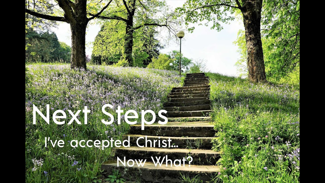 Next Steps - Bible Reading - YouTube
