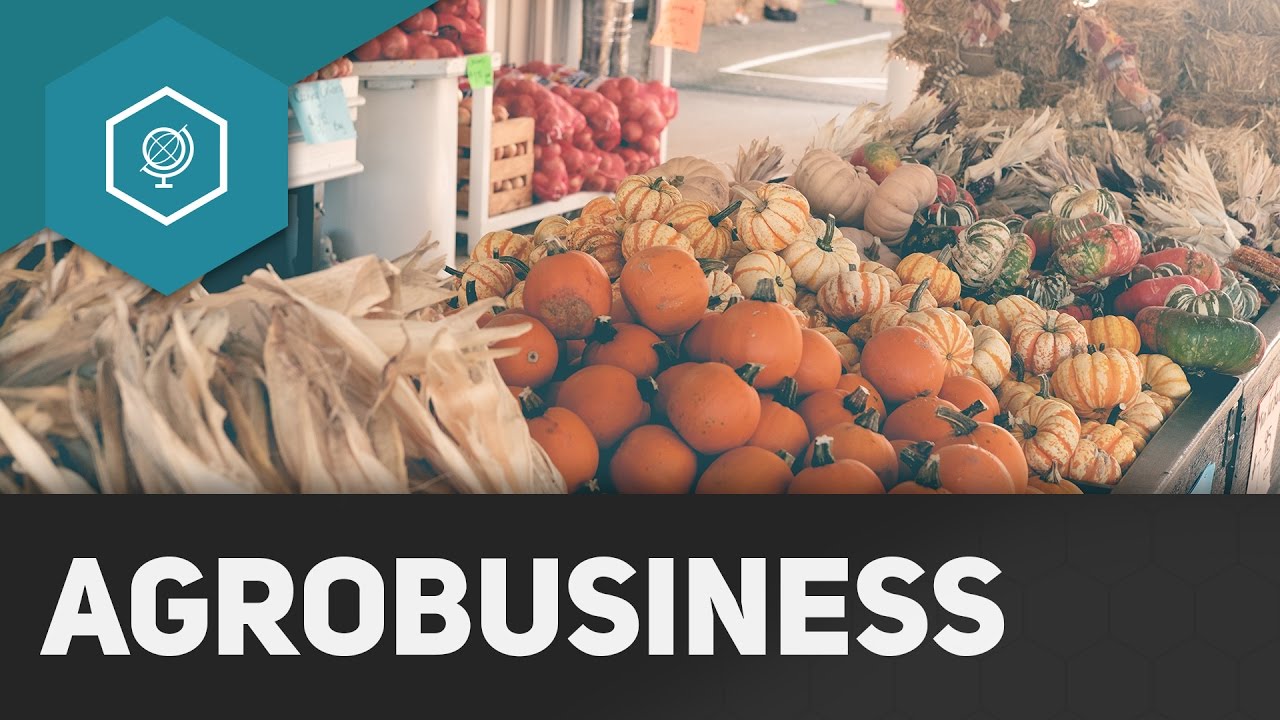 Was Ist Agrobusiness at Audrey Brabyn blog