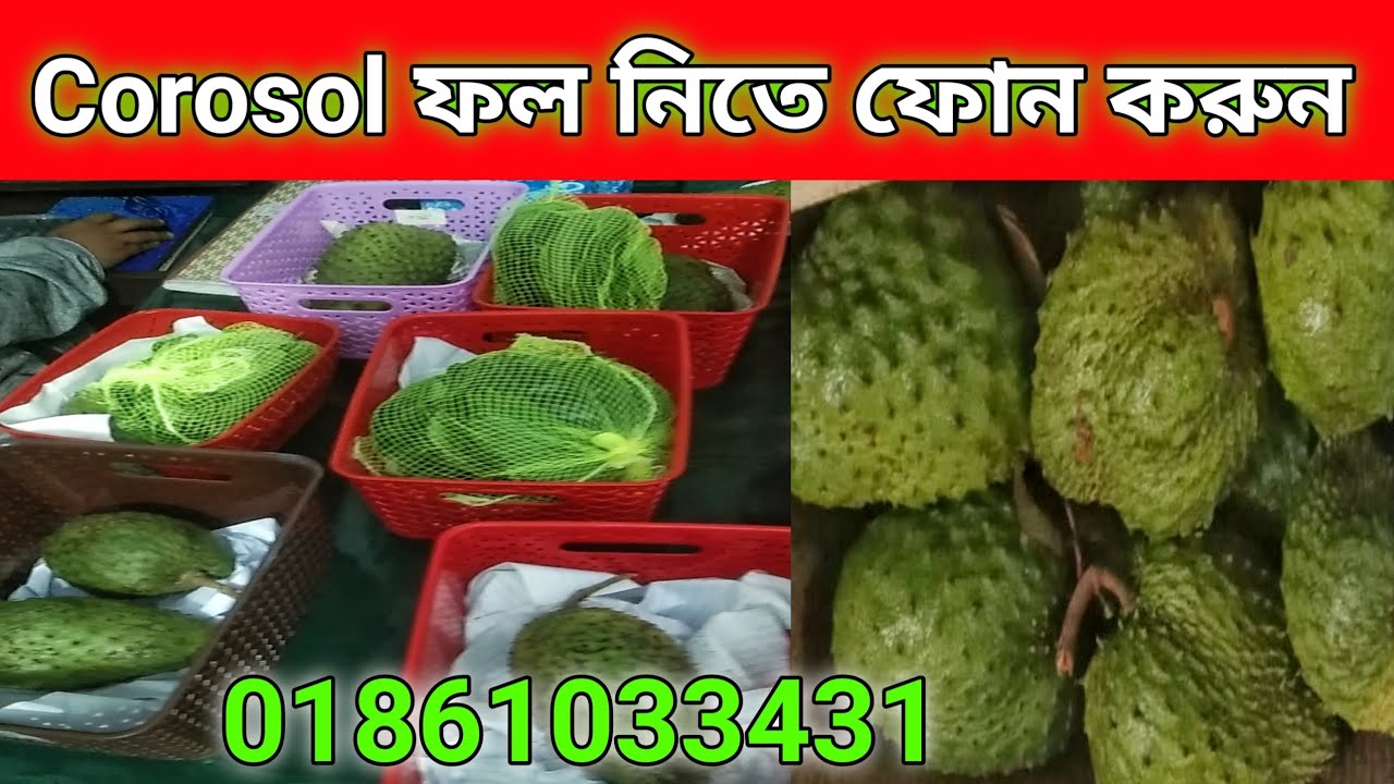 অরিজিনাল Corosol ফল নিতে 01861033431 / 01531560024 নাম্বারে ফোন করুন ...