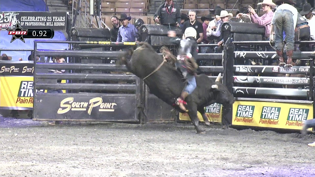 Michael Lane rides Captain for 85.5 points - YouTube