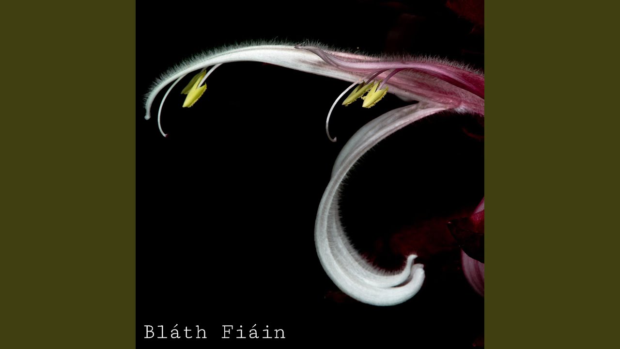 Bláth Fiáin (feat. Caoivín) - YouTube