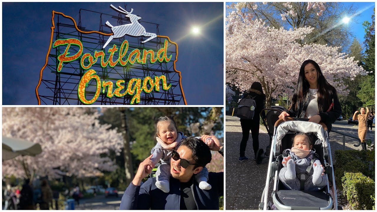 Japanese garden/ Cartopia food court/ Voodoo doughnut🍩 /Portland Oregon ...