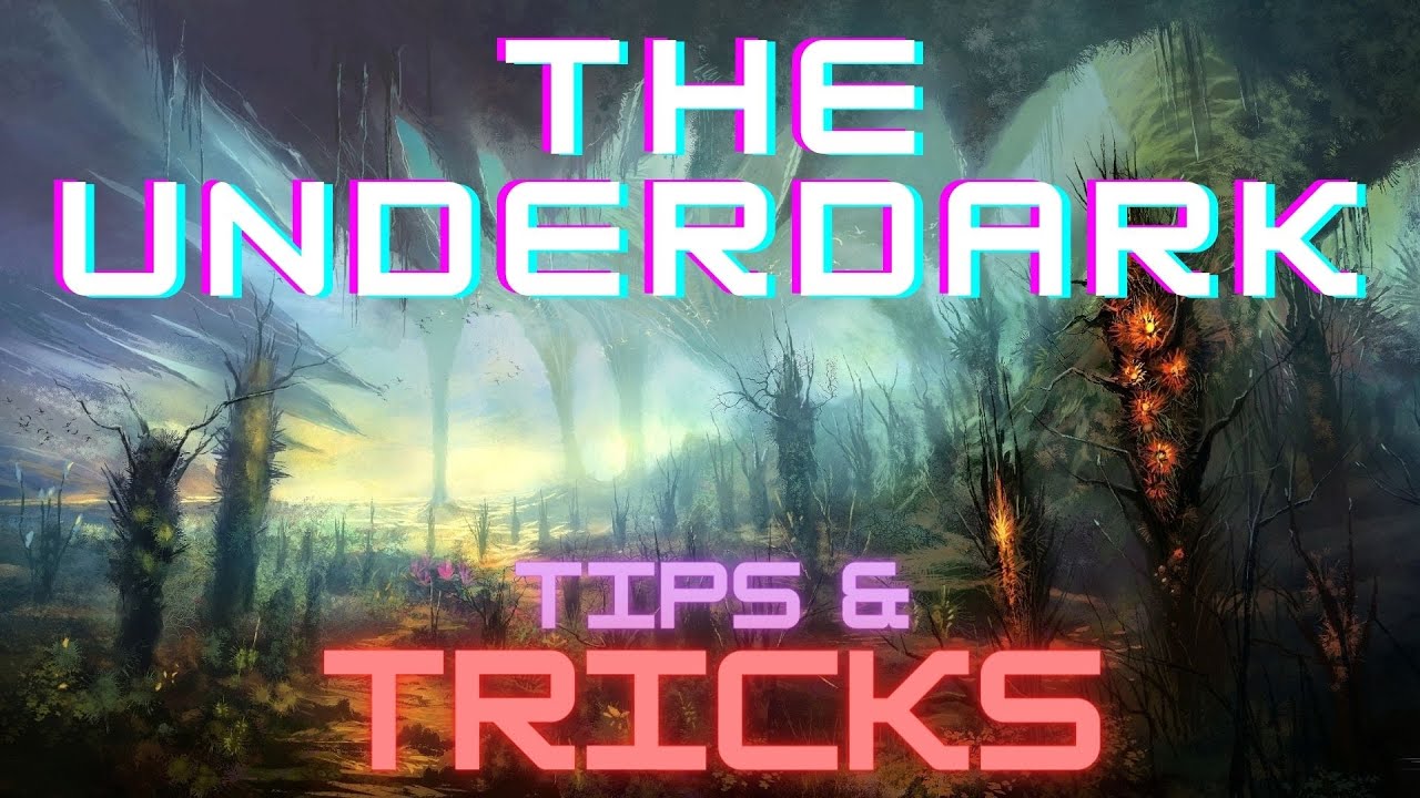 Baldur's Gate 3 walkthrough: The Underdark tips & tricks! (Puzzle ...