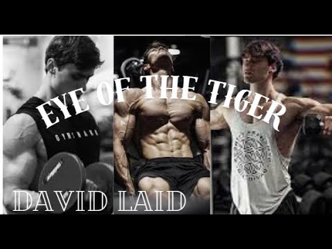 EYE OF THE TIGER X DAVID LAID // MOTIVATION - YouTube