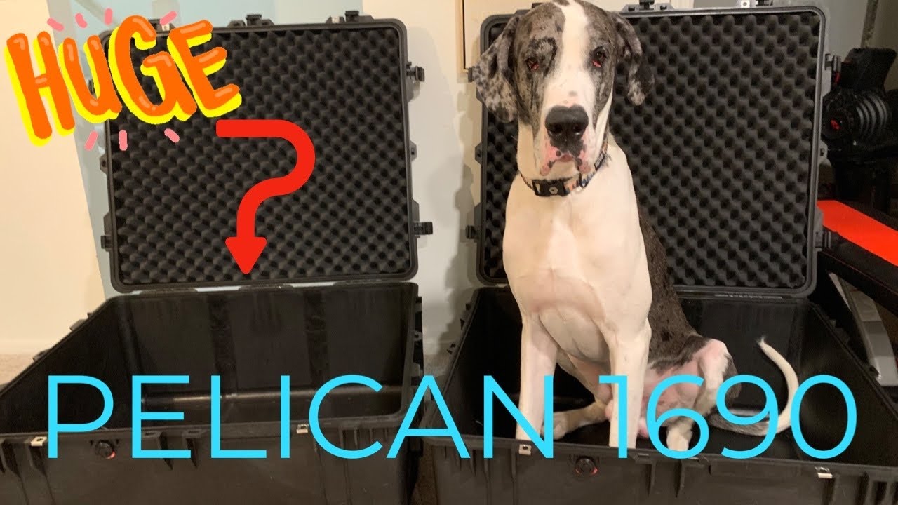 Largest and Most Protective Pelican Case! - YouTube