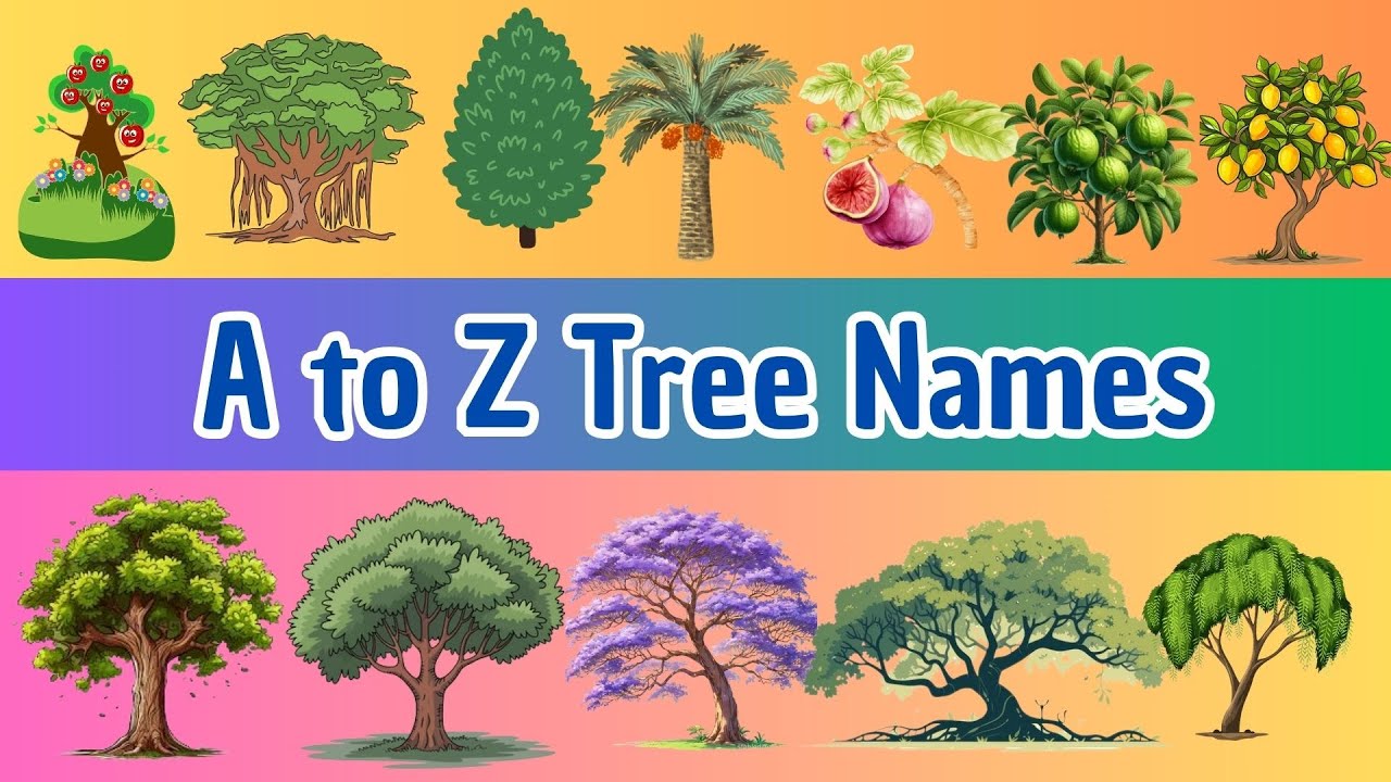 A to Z Trees Names for Kids 🌱 | Learn Alphabet with Trees | Fun ...