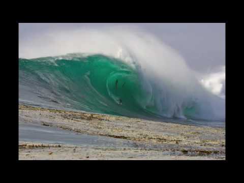 Ghost Tree WAVE OF THE YEAR!! AZHIAZIAM.com - YouTube