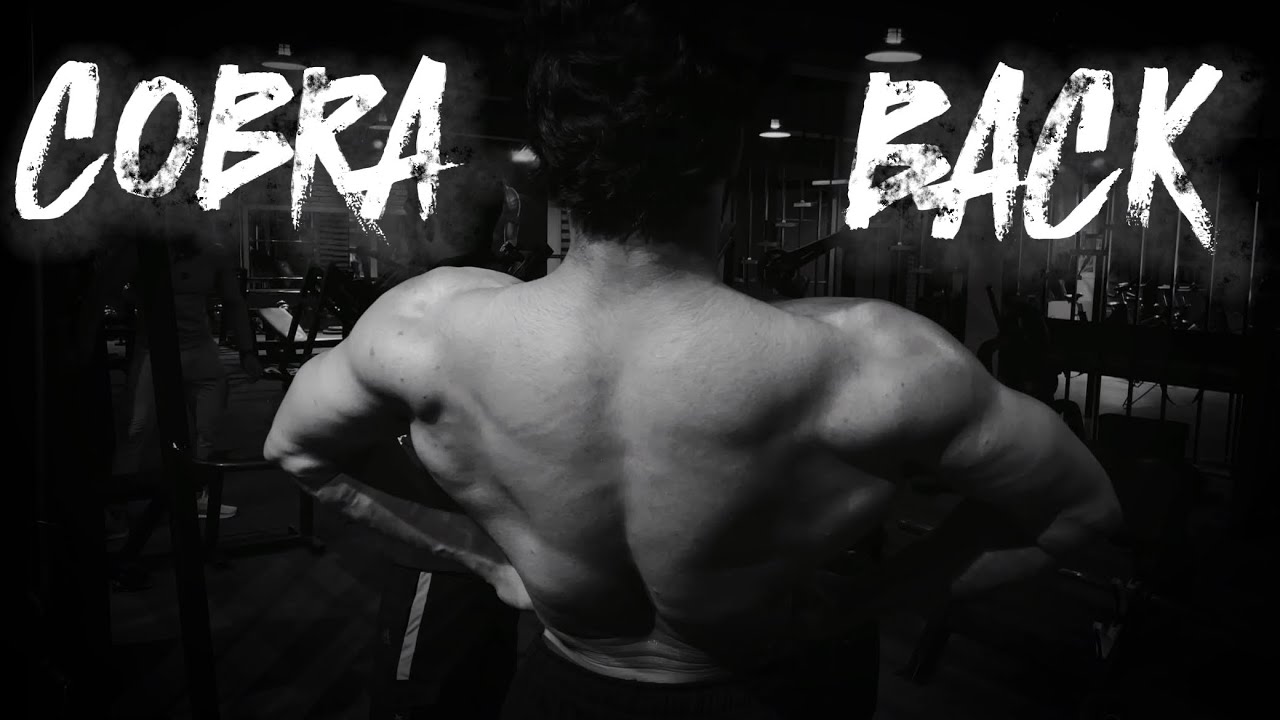 Bodybuilding workout || FULL BACK WORKOUT . - YouTube