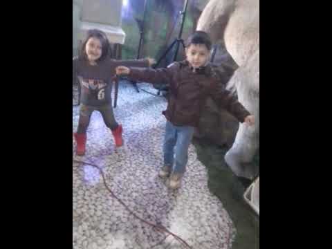 Canım Ogluwum ve Qızım Yawama sebeblerim