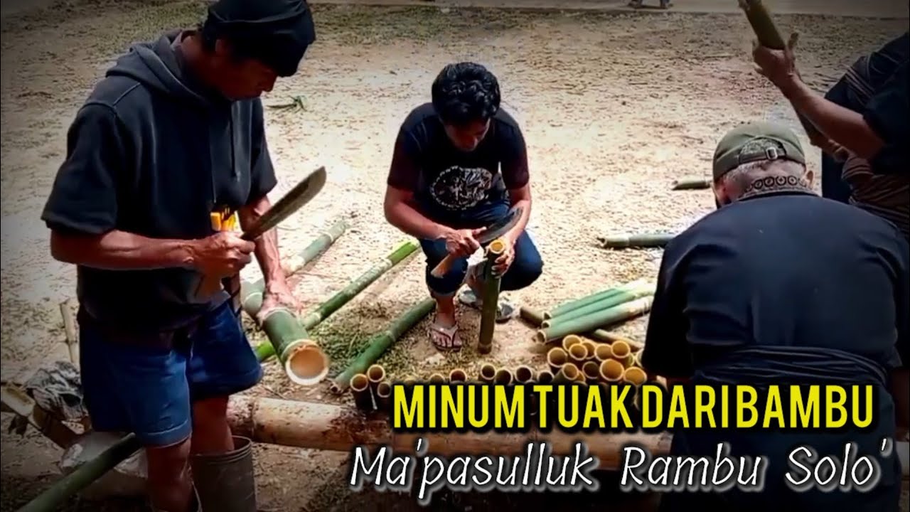 Ma'pasulluk, cara minum tuak dari bambu hanya ada di toraja || rambu ...