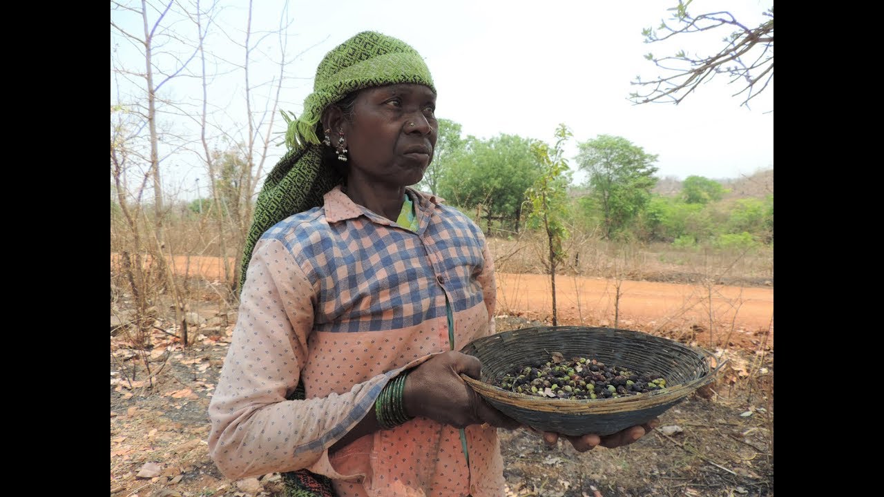 కనుమరుగవుతున్న మొర్రి పండ్లు || Morri Pandlu || Sara Palukulu - YouTube
