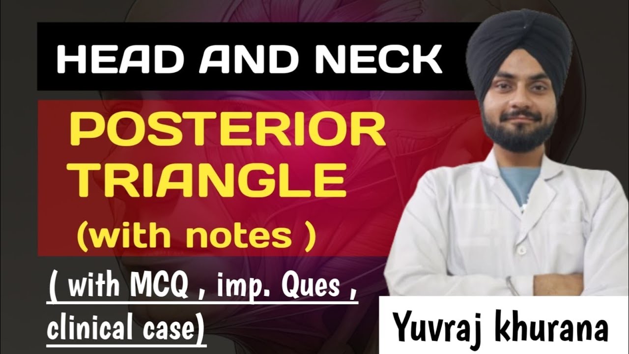 Posterior triangle| Head and neck anatomy | Easy explanation| Medico ...