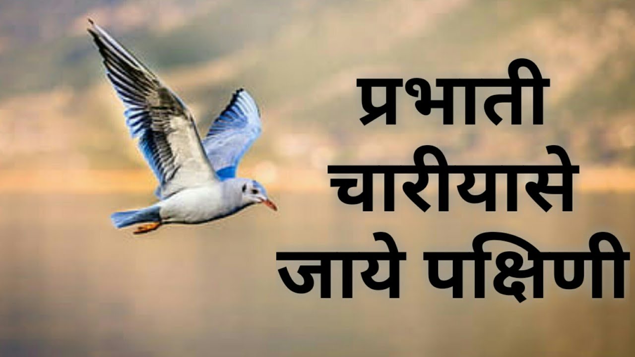 Prabhati chariyase jaye pakshini - YouTube