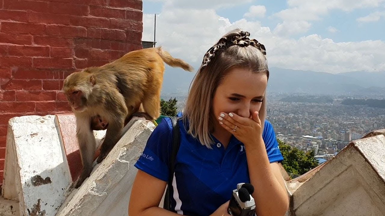 Alex Gets Chased By Monkeys! - YouTube