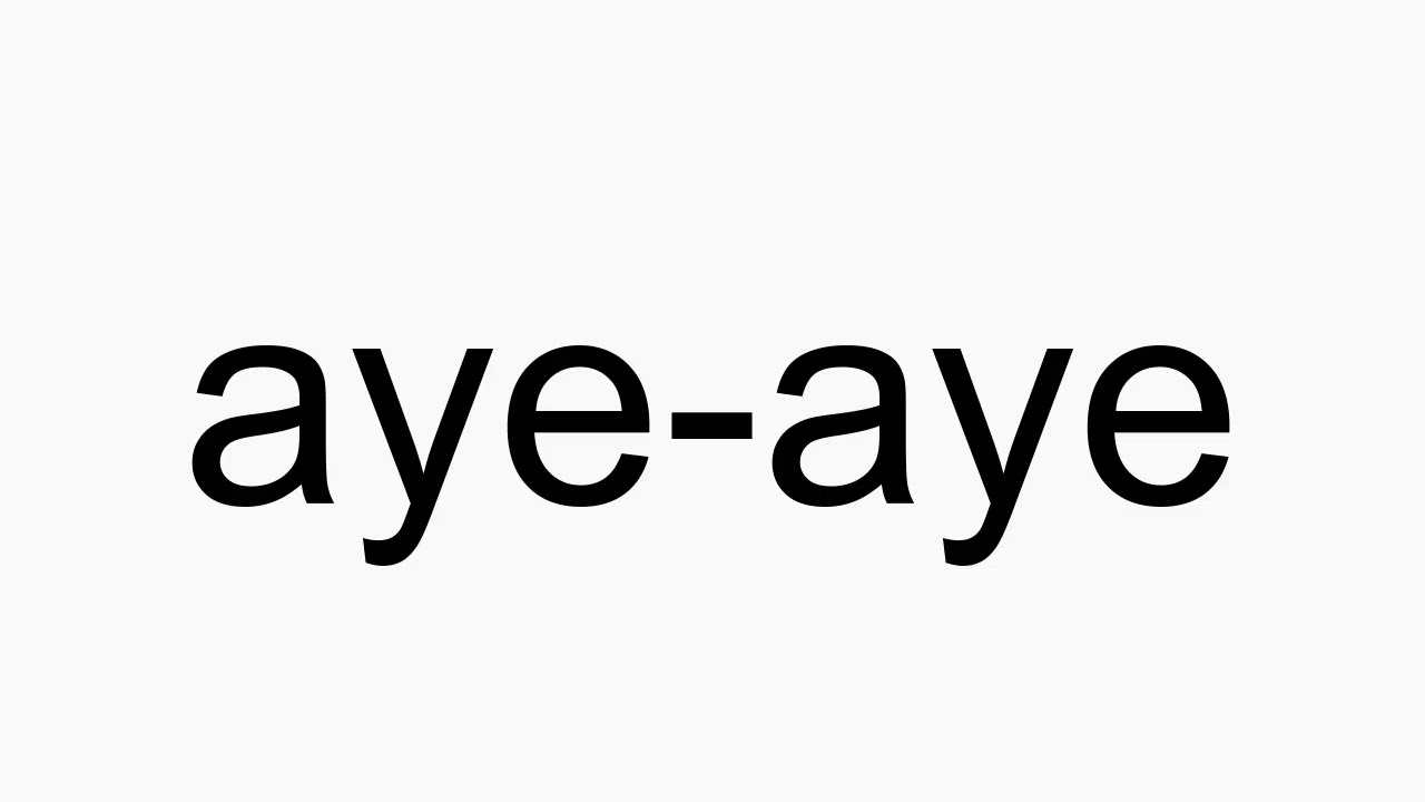 How to pronounce aye-aye - YouTube