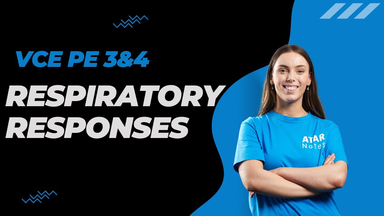 Respiratory Acute Responses | VCE PE 3&4 - YouTube