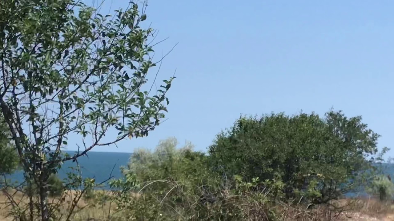 Imagini filmate in zona wild beach tuzla si in sudul statiunii eforie ...