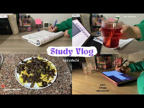 Ders çalışma günlüğüm | Verimli bir gün | Devamlılığımı nasıl sağlıyorum? #sessizvlog #studywithme