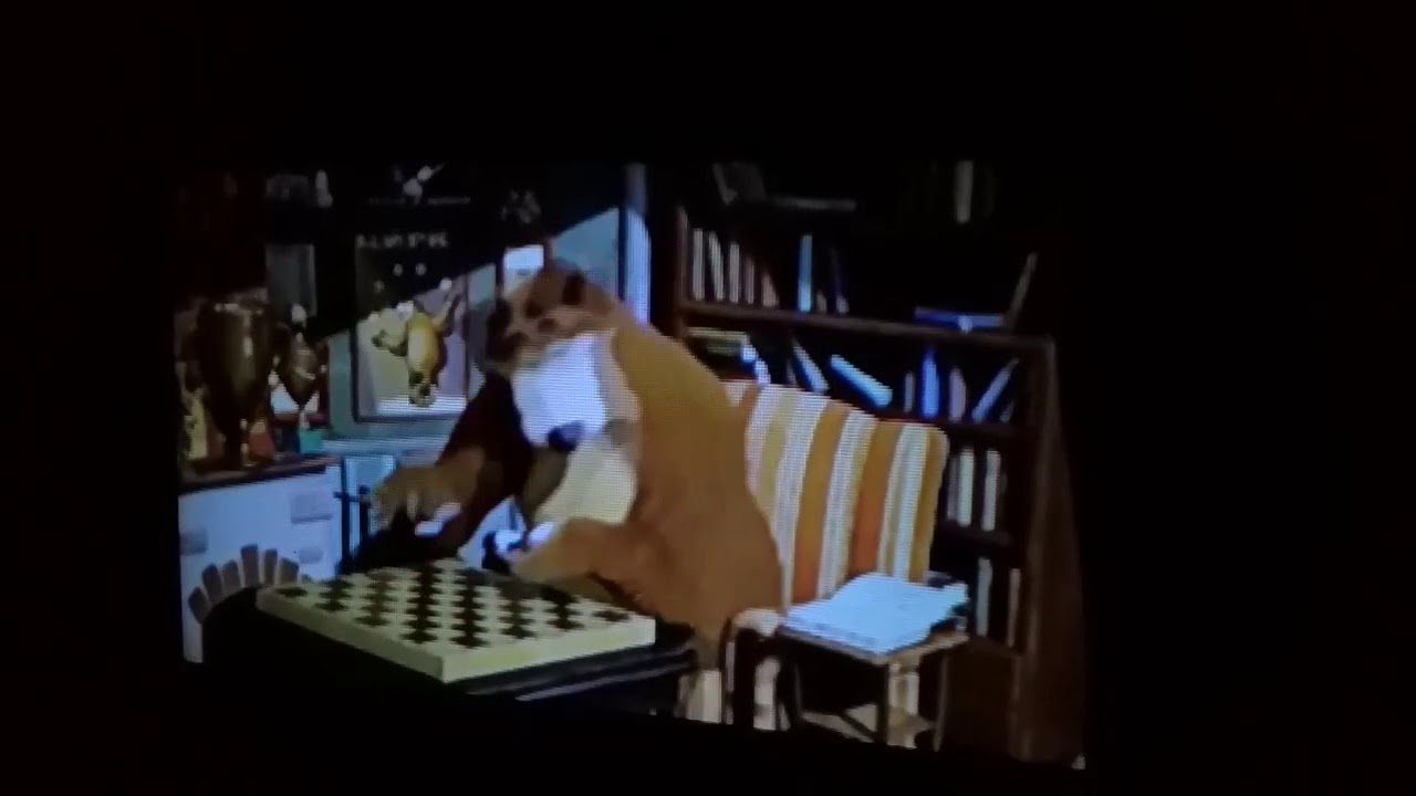 Projektor Dignity Di1024 Vordon HDX-800 Topaz - YouTube