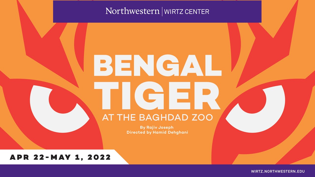 Bengal Tiger at the Baghdad Zoo - YouTube