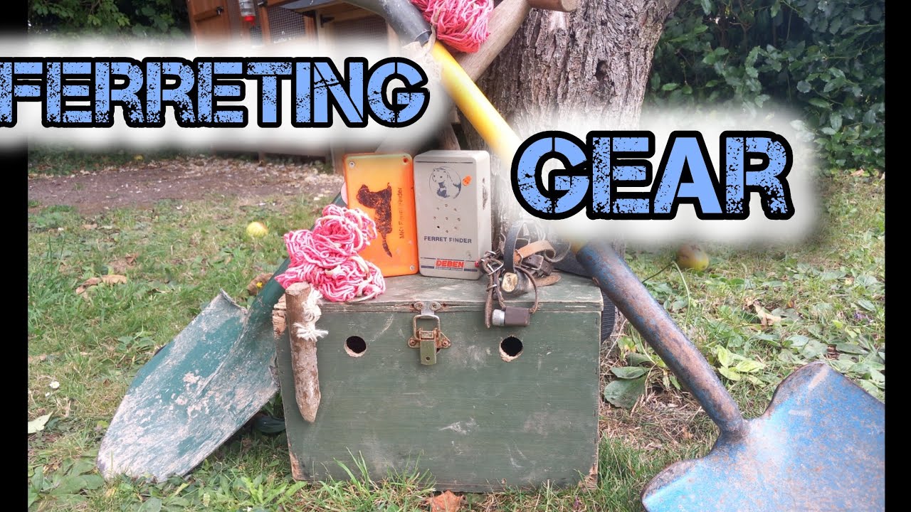 Everything You Need For Ferreting - YouTube