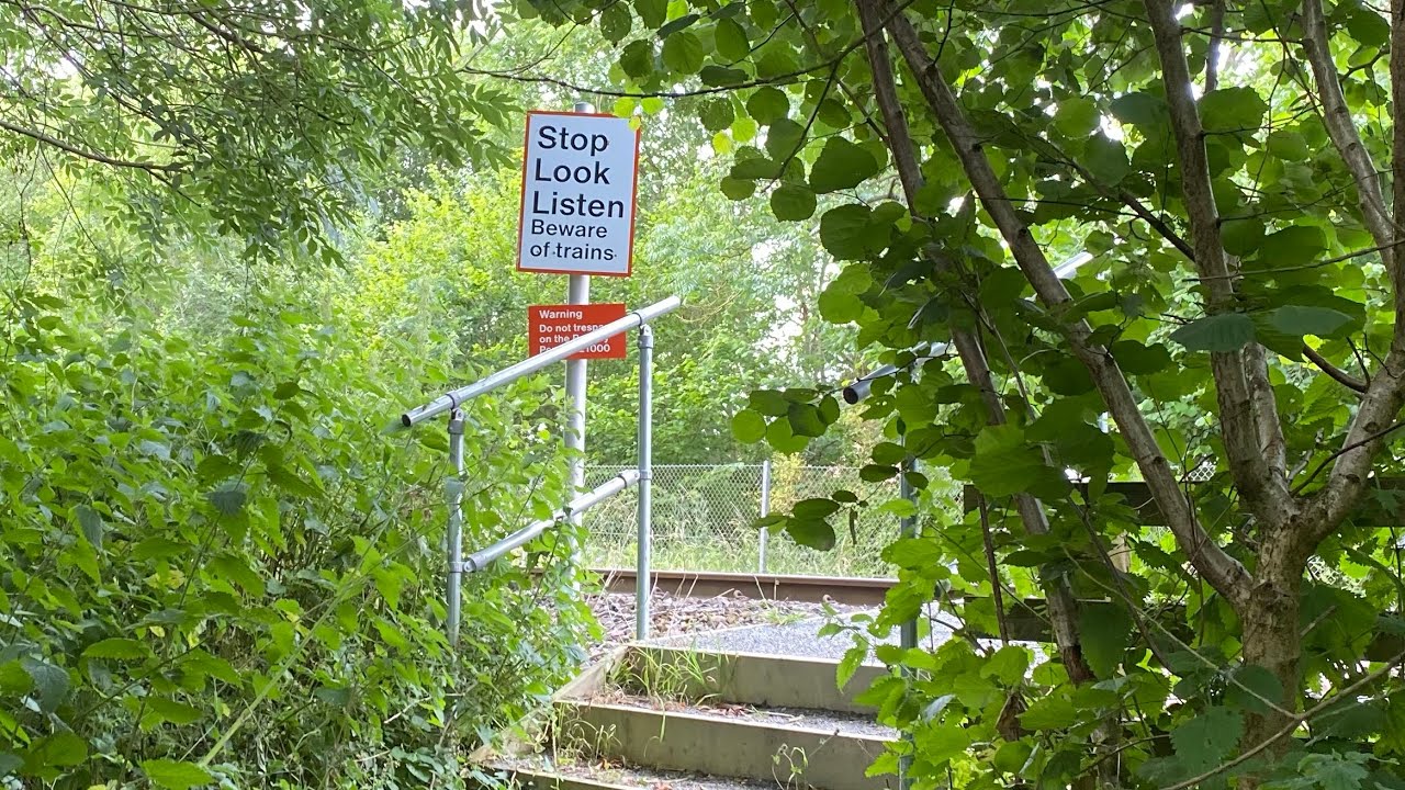 Hewish Footpath Level Crossing 7/7/24 - YouTube
