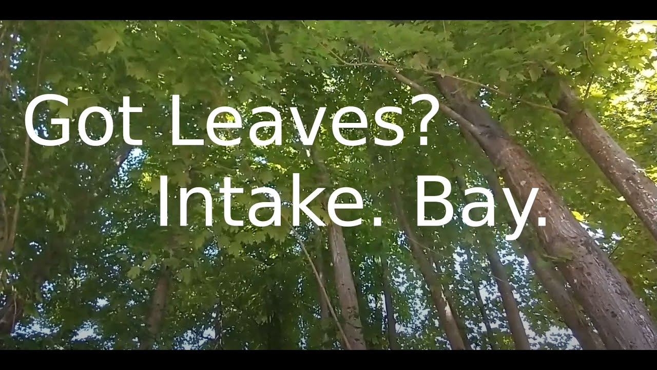 Leaves in your pond? An INTAKE BAY, the original DIY skimmer, is the ...